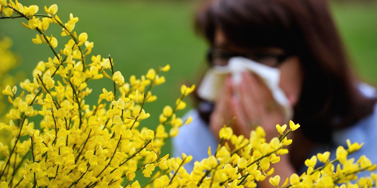 Pollen season predicted to be aggressive this year - It's a Southern Thing