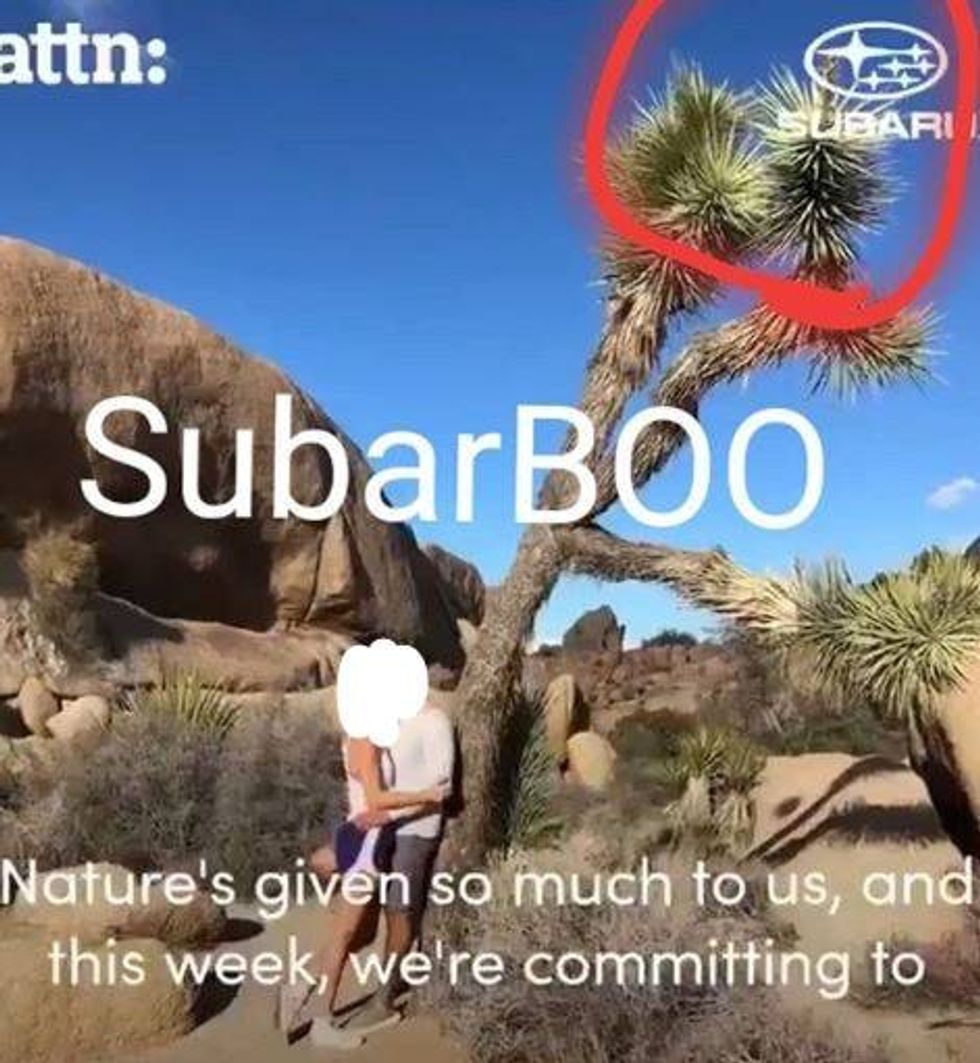 This Instagrammer is unapologetically shaming people into protecting ...