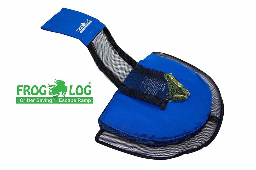 This mini water ramp helps frogs and other animals escape your pool ...