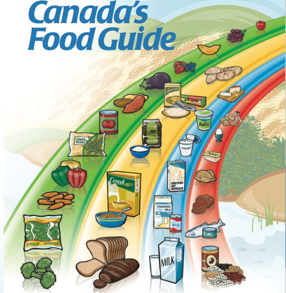 Pyramids, Plates, and Pagodas: Dietary Guidelines From Around the World ...