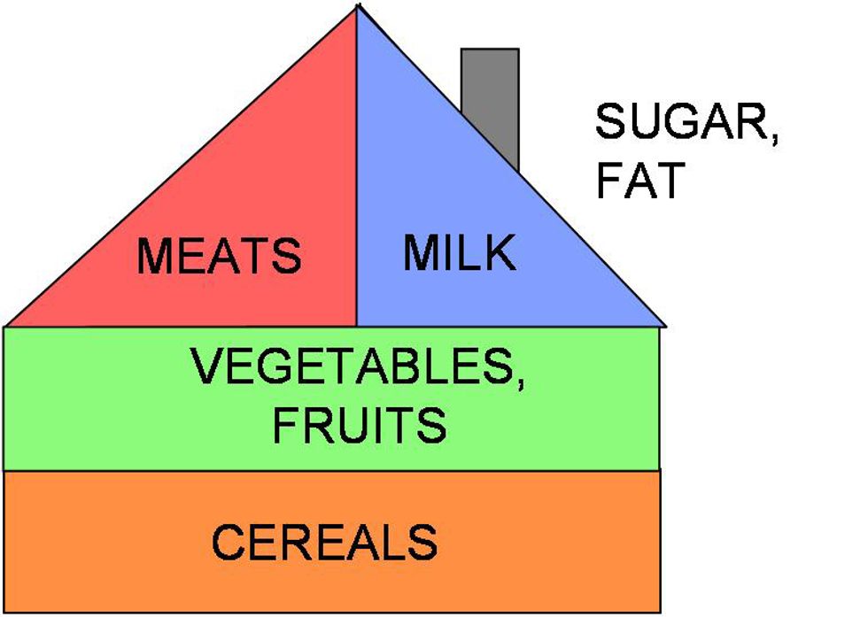 Pyramids, Plates, and Pagodas: Dietary Guidelines From Around the World ...