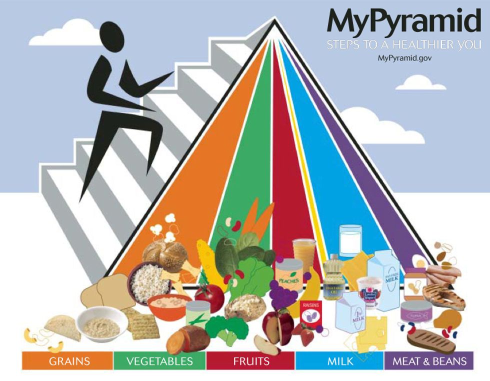 Pyramids, Plates, and Pagodas: Dietary Guidelines From Around the World ...