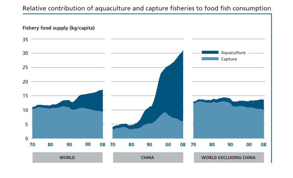 Peak Fish: The Massive Growth of Aquaculture in China - GOOD