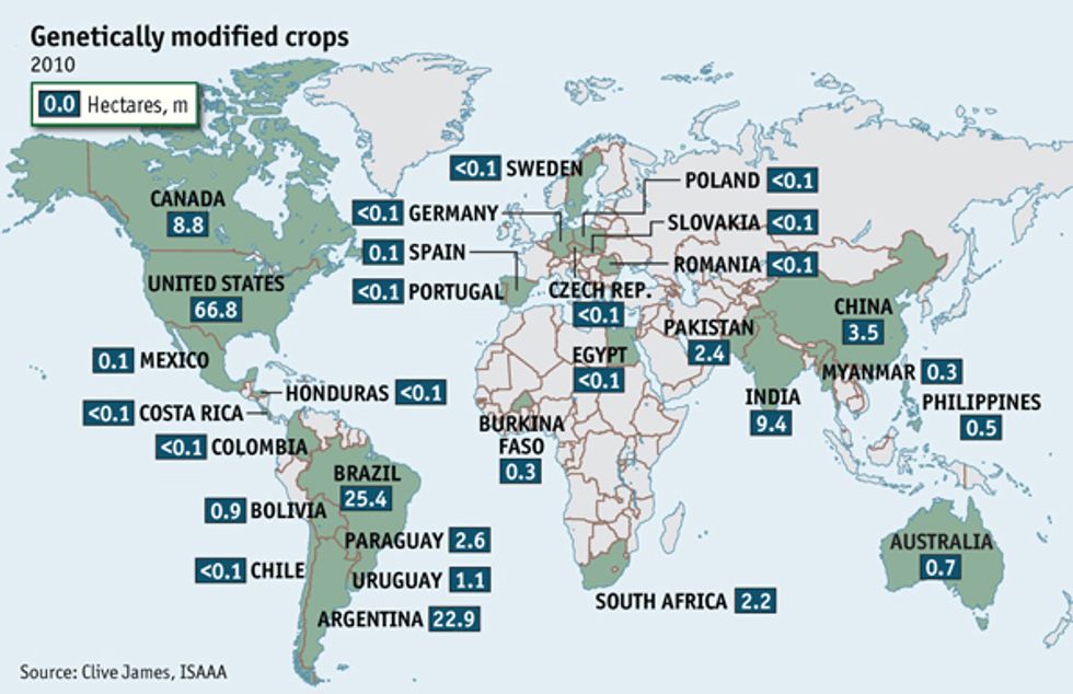 Feast Your Eyes: The Atlas of Genetically Modified Crops - GOOD