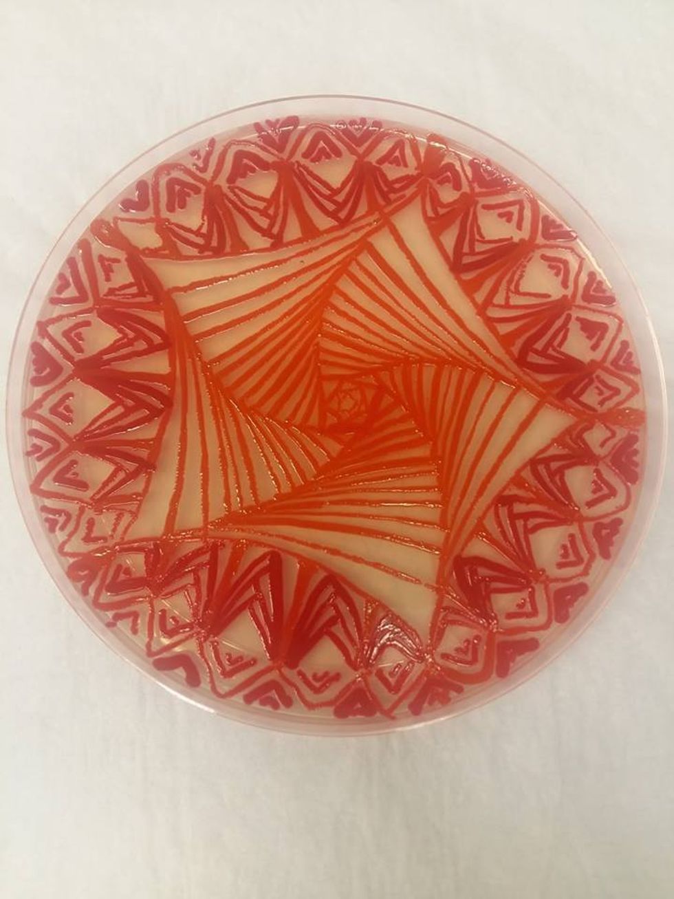 Artists Use Bacteria To ‘Grow’ Masterpieces - GOOD