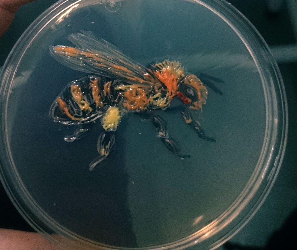 Artists Use Bacteria To ‘Grow’ Masterpieces - GOOD