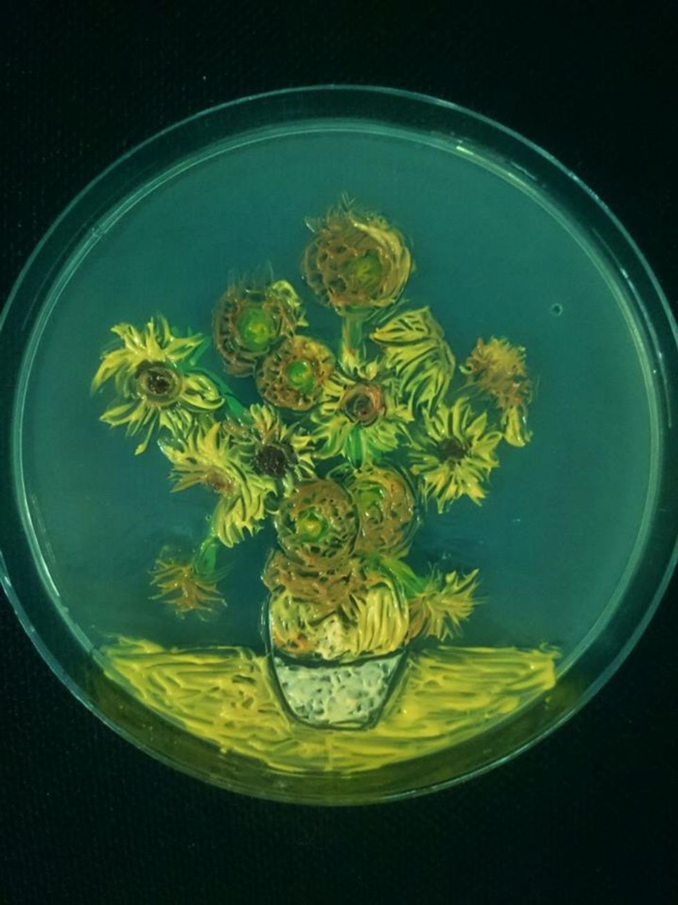Artists Use Bacteria To ‘Grow’ Masterpieces - GOOD