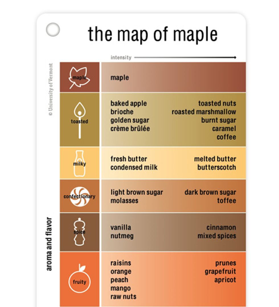The Ineffable Flavors of Maple Trees, Mapped The University of Vermont ...