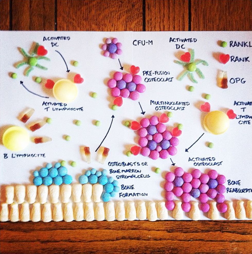 The Sweet Science of Candy Anatomy - GOOD