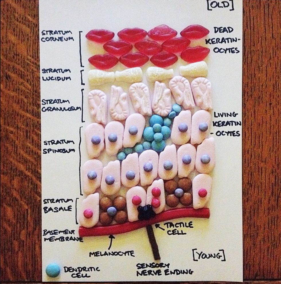 The Sweet Science of Candy Anatomy - GOOD