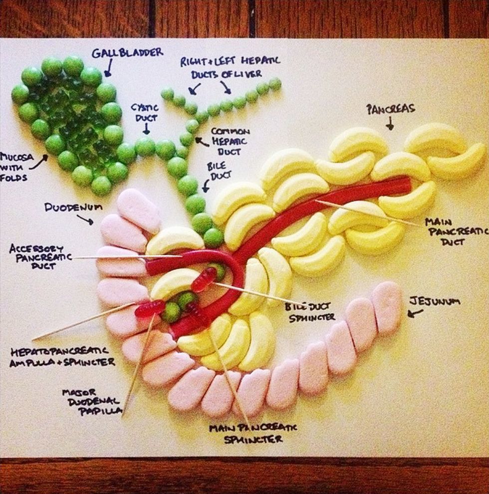 The Sweet Science of Candy Anatomy - GOOD