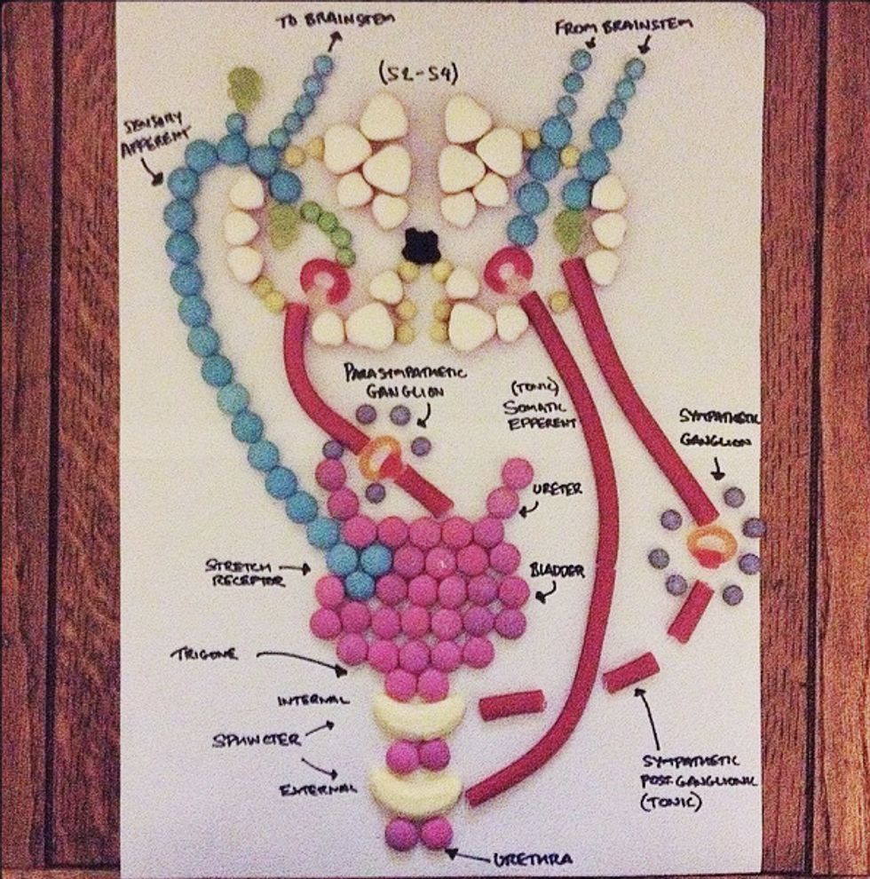 The Sweet Science of Candy Anatomy - GOOD