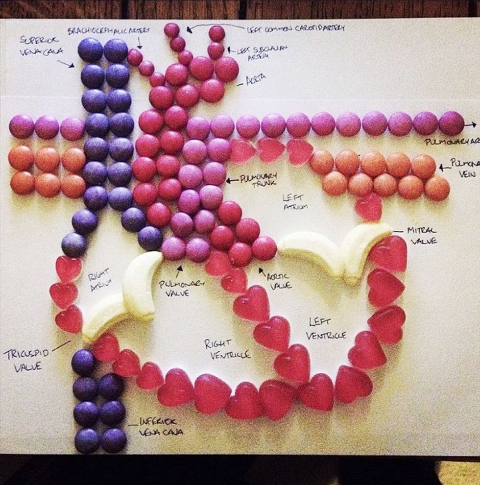 The Sweet Science of Candy Anatomy - GOOD