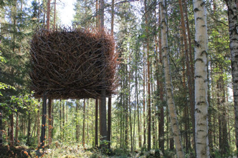 Treehotel: Sweden's Dreamlike Treehouse Fantasies - GOOD