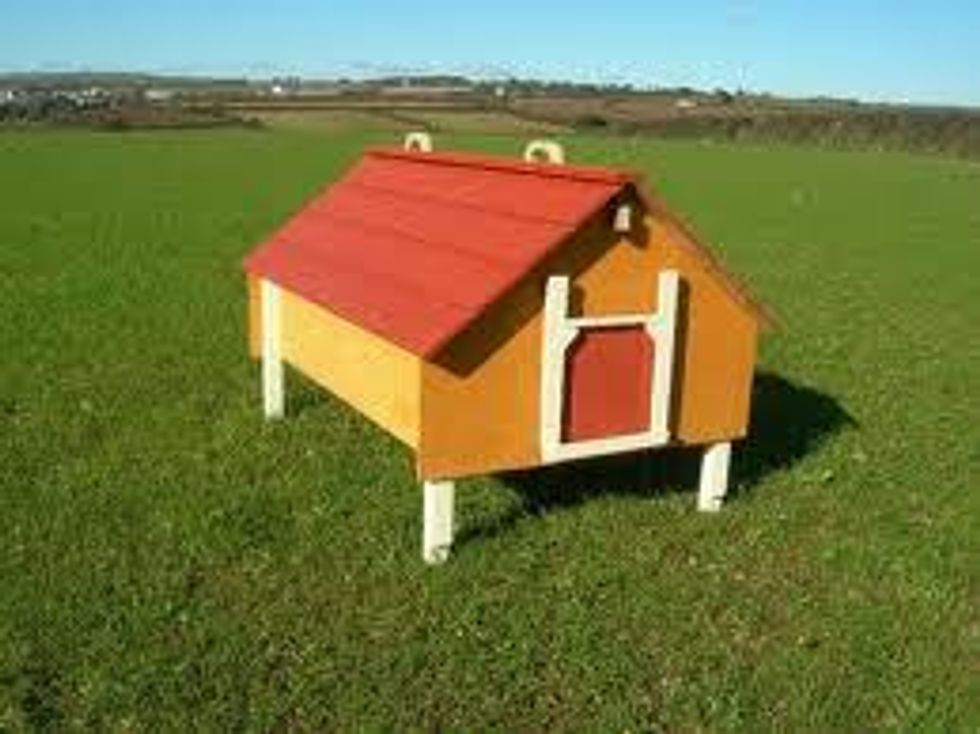 In Cornwall, a Hotel for Chickens - GOOD