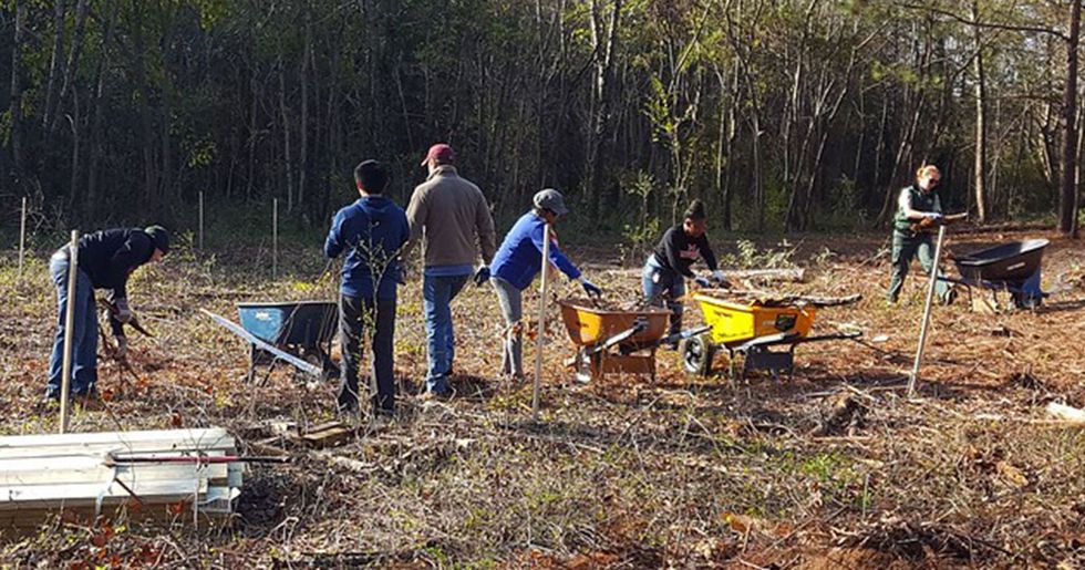Atlanta turned a food desert into a 7.1-acre food forest to provide ...