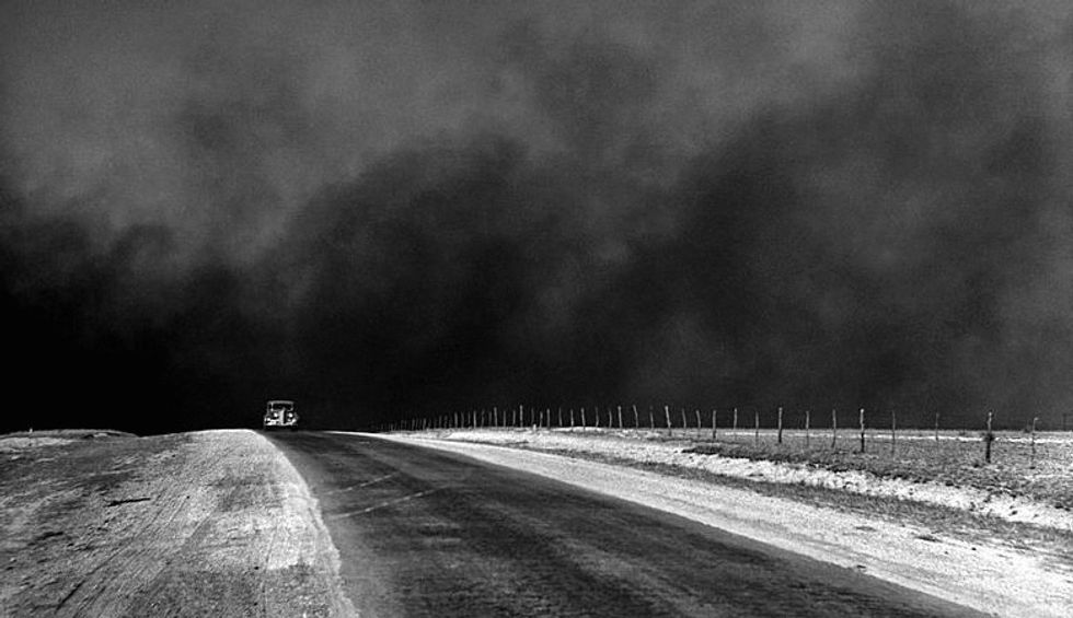 FDR planted trees during the last climate crisis - Upworthy