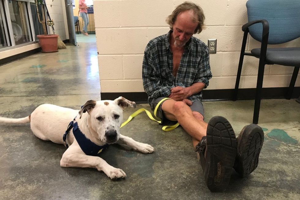 Video captures the incredible moment a homeless man and his beloved dog ...