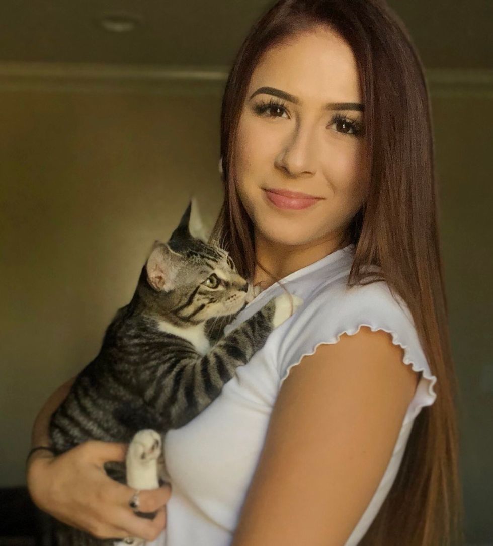 Couple Tries to Foster Kitten They Rescued, But Their Cat Has a ...