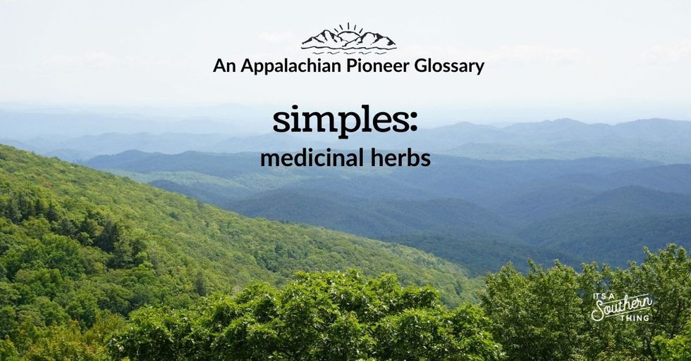 A glossary of words used by Appalachian Mountain pioneers - It's a ...