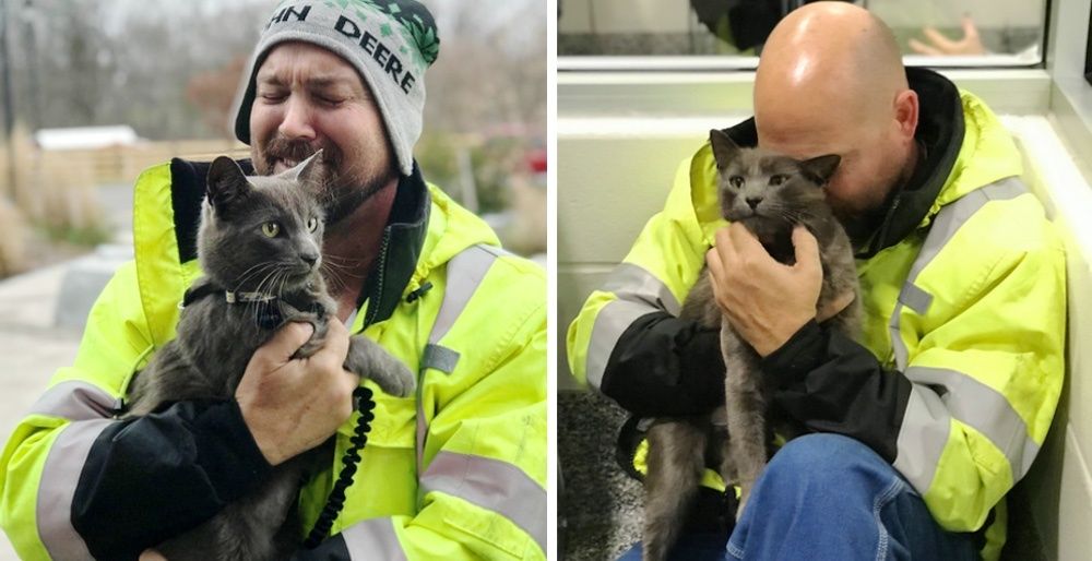 Truck Driver Breaks into Tears When His Cat Returns to Him After Months ...