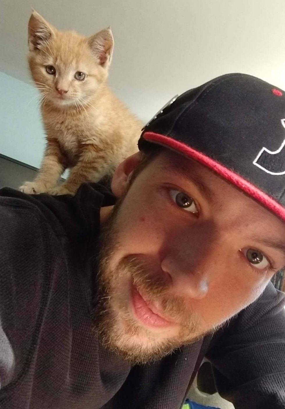 Stray Kitten Came Back to Man Who Was Kind to Him, and Decided to Stay ...