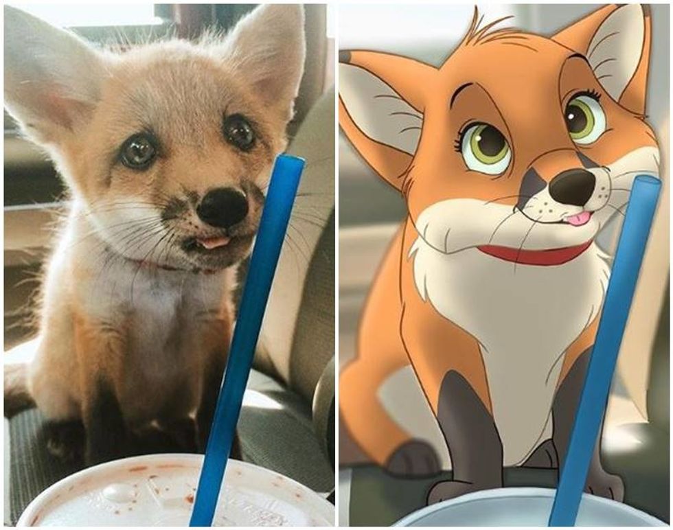 Brilliant artist 'Disneyfies' people's pets into Disney characters ...