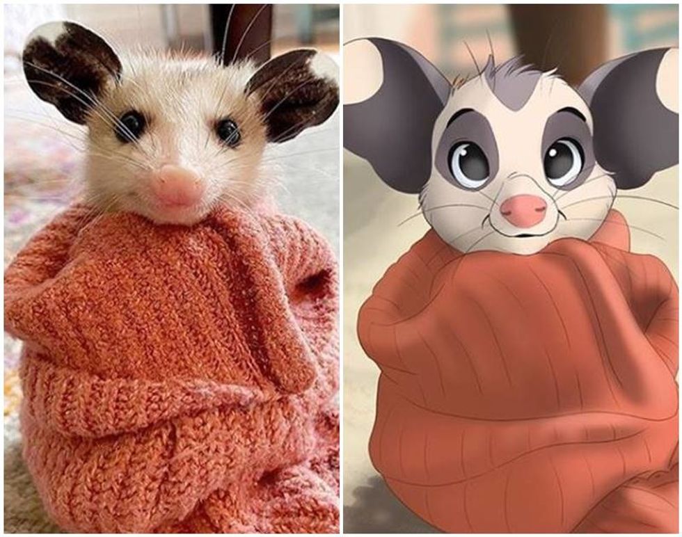 Brilliant artist 'Disneyfies' people's pets into Disney characters ...