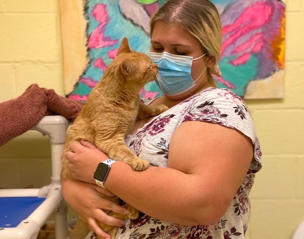 Woman Comes to Shelter for Cat and His Bonded Brother, Making Their ...