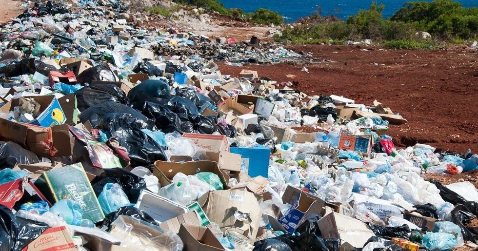 Americans produce 3x more waste than the rest of the world. Here’s how ...
