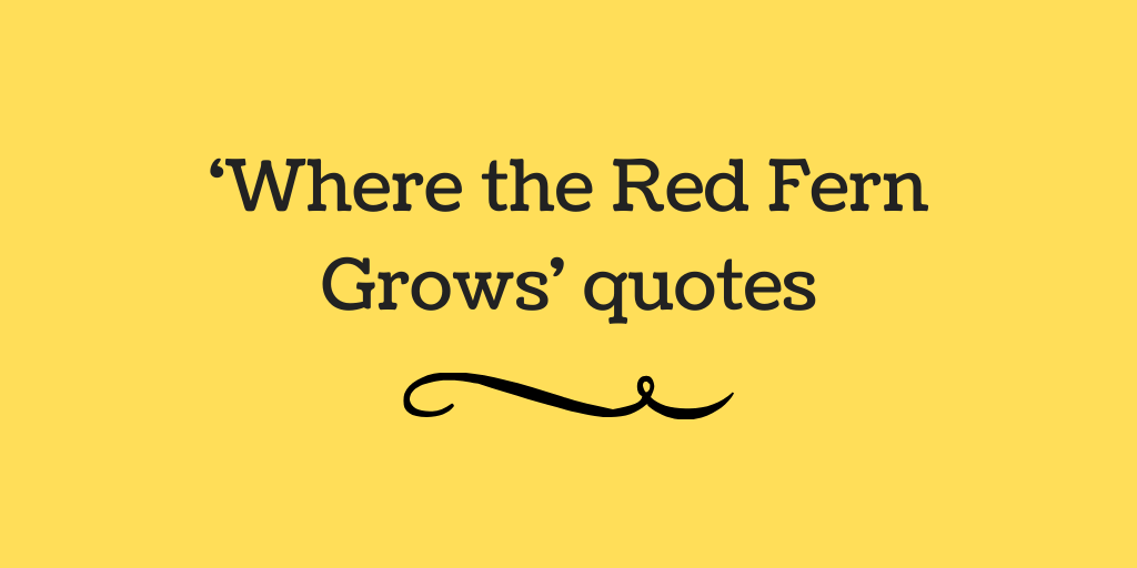 7 'Where the Red Fern Grows' quotes we love - It's a Southern Thing