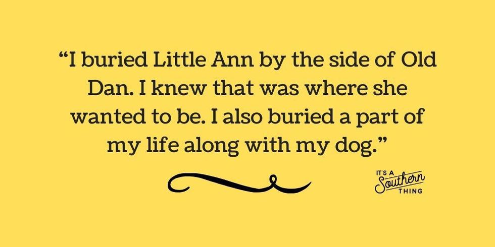 7 'Where the Red Fern Grows' quotes we love - It's a Southern Thing