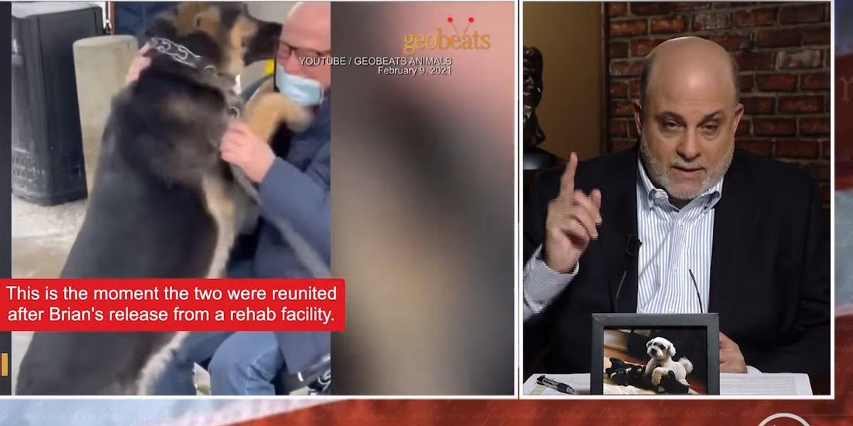 Hero dogs: Mark Levin shares heartwarming story of rescue, love and ...
