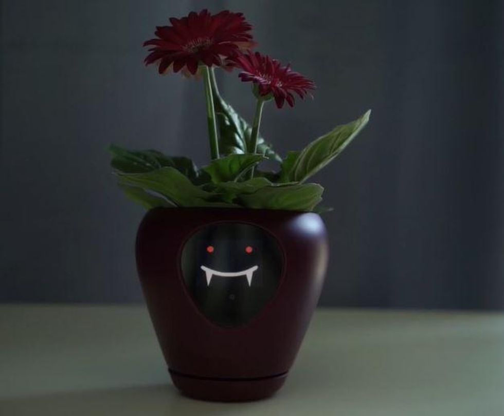 New smart planter shows your house plants' 'feelings' so you don't kill ...