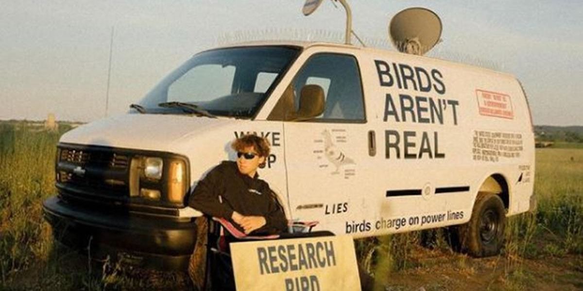 Is Birds Aren't Real a genuine conspiracy theory? - Upworthy