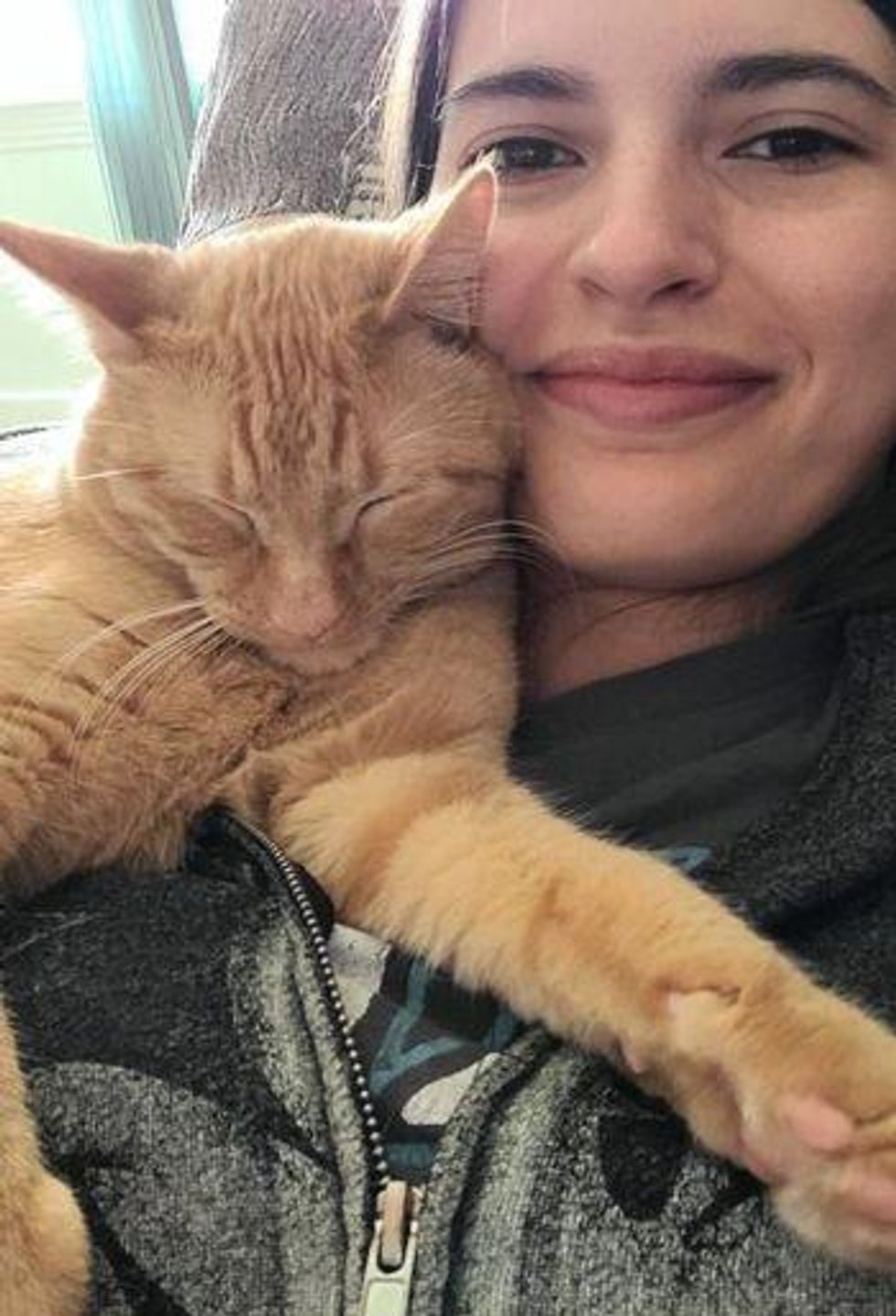 Kitten Found Stuck in a Tree, Decides to Move in with the Couple that ...