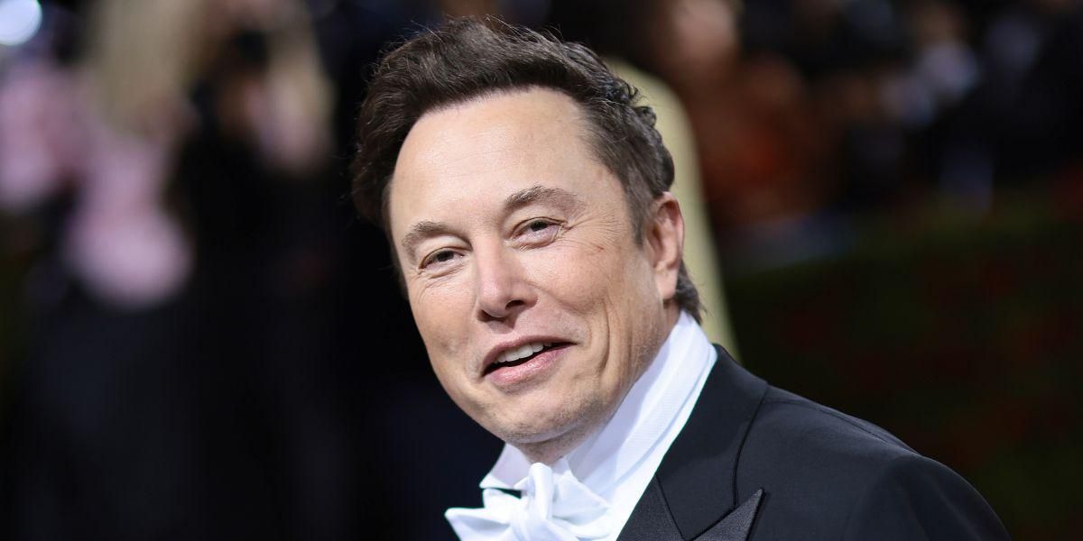 Elon Musk Wants To Free The Nip More After Viral Shirtless Photo Comic Sands