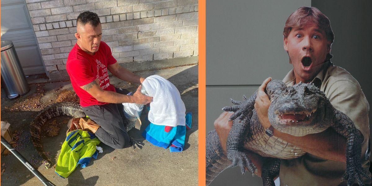 Texas man credits Steve Irwin after capturing an alligator - Upworthy