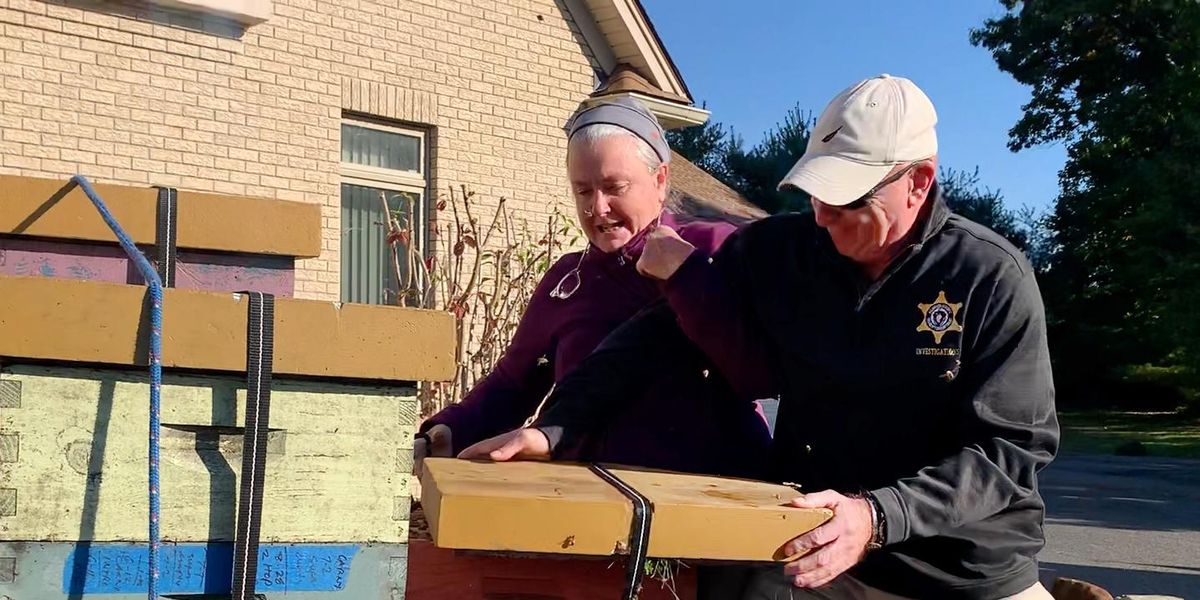 sting-operation-protester-unleashes-swarms-of-agitated-bees-on-sheriff-s-deputies-news-and-gossip