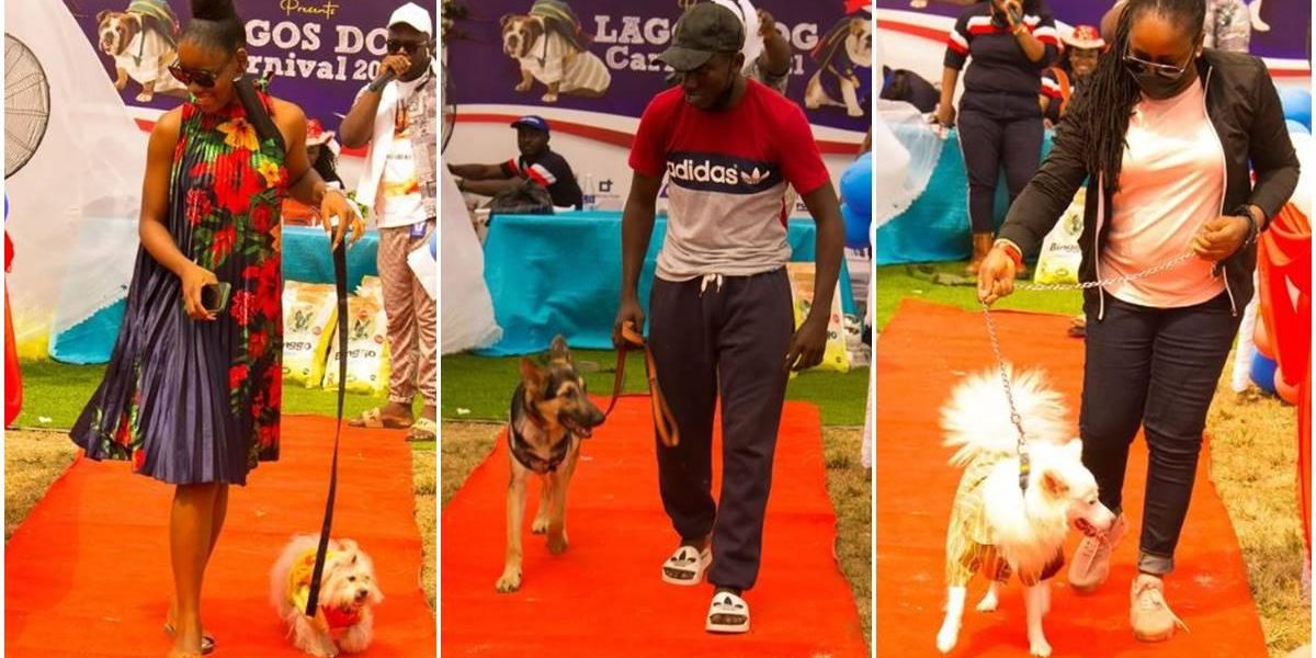 Lagos Dog Festival changes stereotypes about Africans and dogs - Upworthy