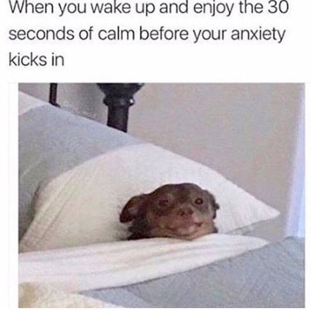 20 Memes For People With Anxiety