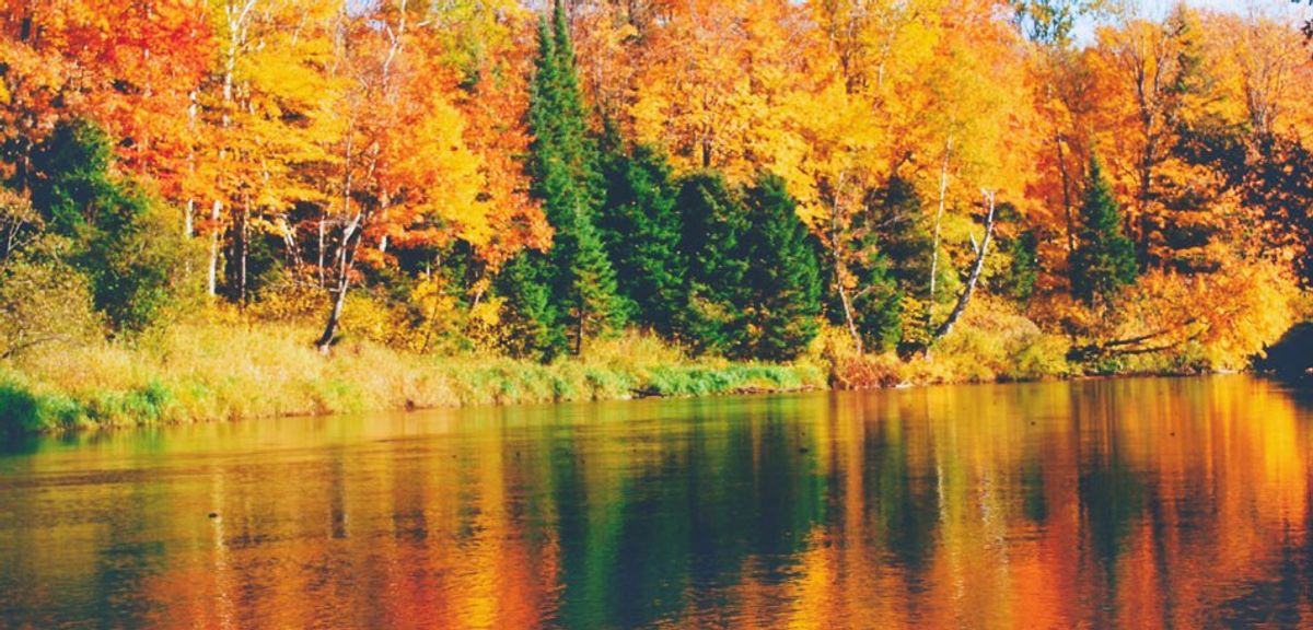 20 Signs You Know Fall Is Here