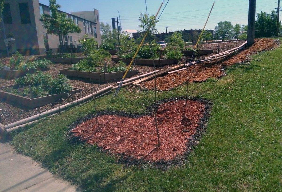 St. Louis's Transgender Memorial Garden