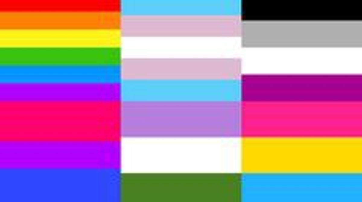 5 Gender/Sexuality Flags You Need to Know