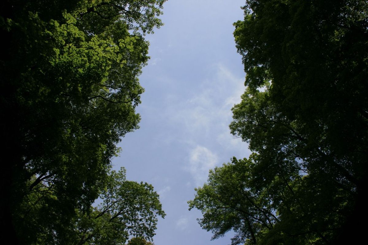 Go Ahead, Look On Up