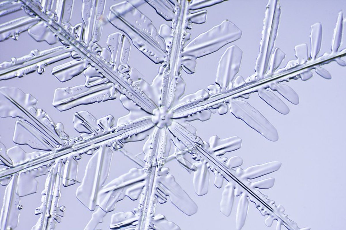 The Snowflake Generation