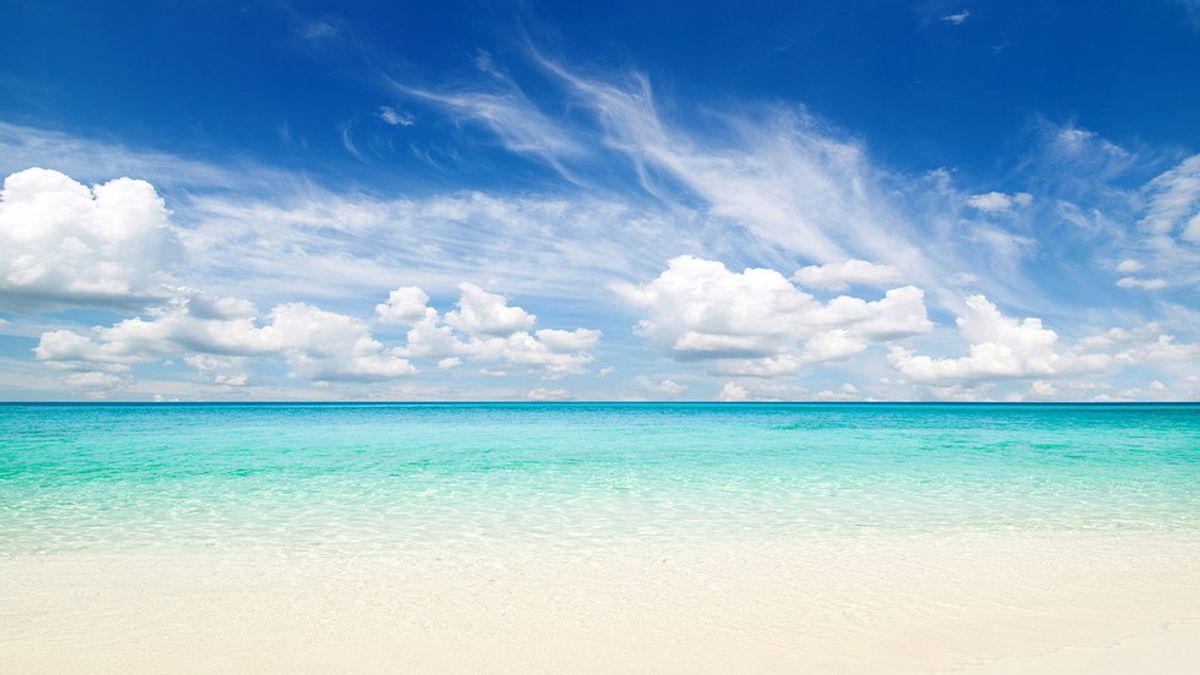 6 Reasons Why Everyone Needs A Good Beach Day