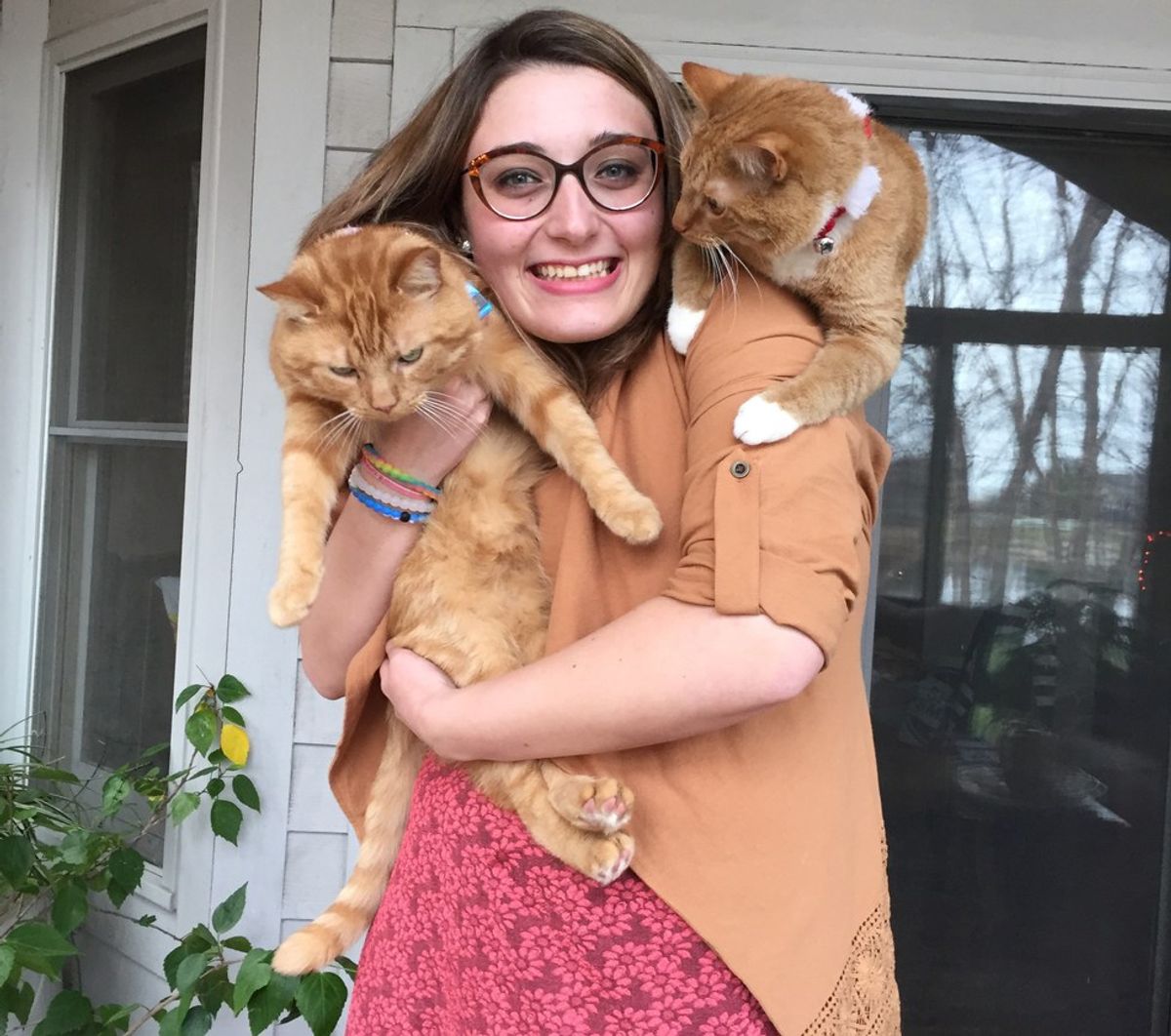 10 Things Cat Lovers Know To Be True