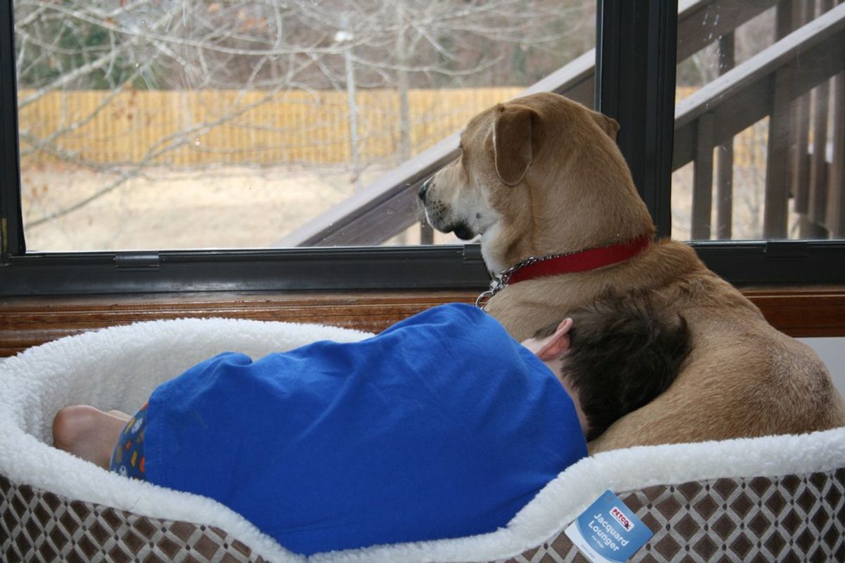 Life In the 1Percent: A History of Autism