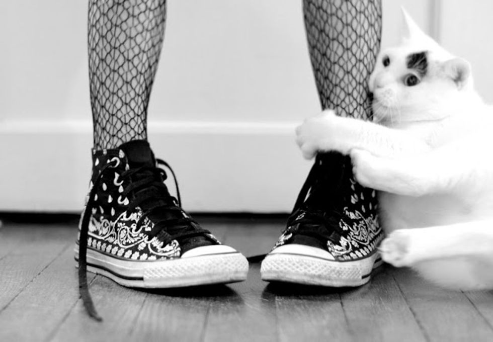 Mimo, the Cat with a Black Spot - Love Meow